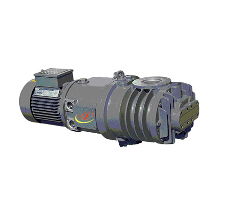 Bơm tăng áp Booster Edwards EH1200